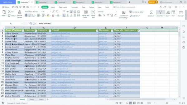70743 Switzerland Email Database [2022] - EmailProLeads
