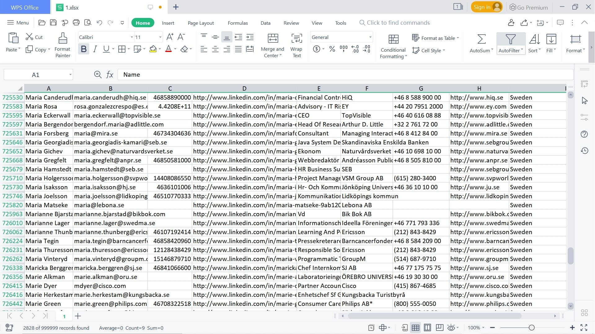 1M Sweden Email Database [2024] - EmailProLeads